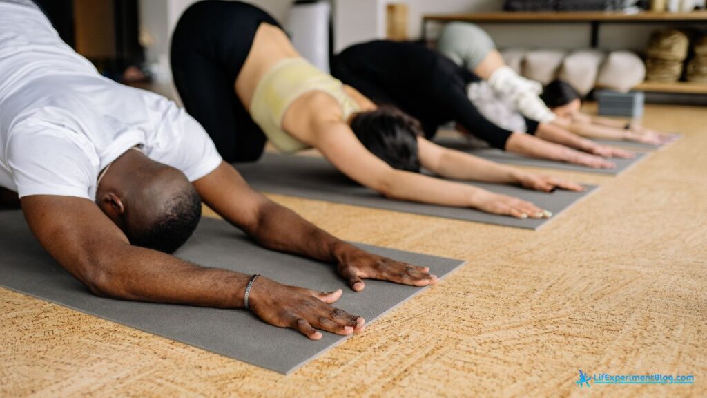 Styles of Yoga | LifExperiment Blog